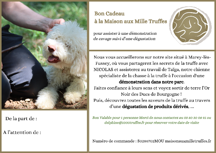 Truffes en Bourgogne à Dijon et Beaune